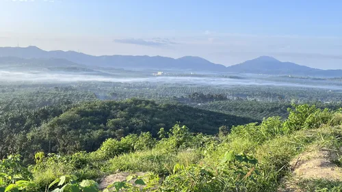 2023 Best Walking Trails in Sungai Jawi | AllTrails