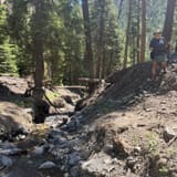 Rapid River Trail, Idaho - 260 Reviews, Map | AllTrails