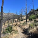 Goodspeed-Nattkemper Trail to Mount Hood Peak and Gunsight Lookout ...