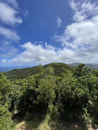 2023 Best Camping Trails in Uruma Shi | AllTrails