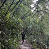 Kemensah - Bukit Pau Extended Trail, Selangor, Malaysia - 401 Reviews ...