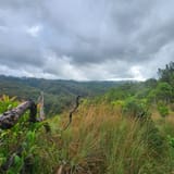 Schofield-Waikāne Trail, Oahu, Hawaii - 63 Reviews, Map | AllTrails