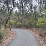 Toohey Forest Circut, Queensland, Australia - 132 Reviews, Map | AllTrails