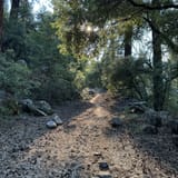 Artist Point Trail, California - 879 Reviews, Map | AllTrails