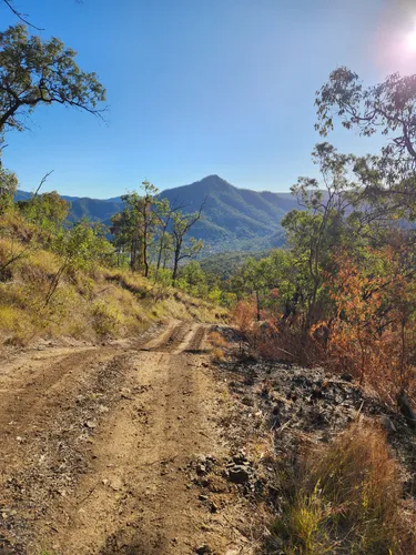 Best Hikes and Trails in Glen Rock State Forest | AllTrails