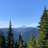 Johnson Ridge Trail, Washington - 261 Reviews, Map | AllTrails