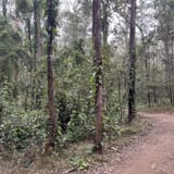 Toohey and Nathan Ridge Track , Queensland, Australia - 539 Reviews ...
