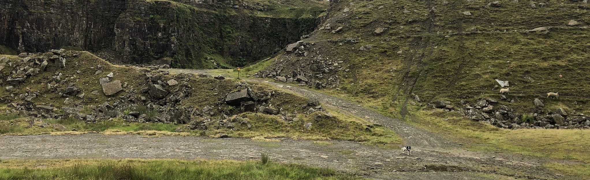 Lee Quarry Black Route, Lancashire, England - 2 Reviews, Map | AllTrails