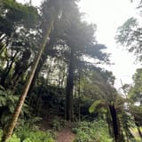 Furnas Lagoon Trail, Azores, Portugal - 300 Reviews, Map | AllTrails