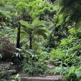 Furnas Lagoon Trail, Azores, Portugal - 300 Reviews, Map | AllTrails