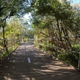 Fernleigh Track, New South Wales, Australia - 259 Reviews, Map | AllTrails