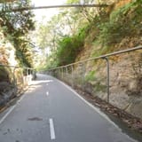 Fernleigh Track, New South Wales, Australia - 259 Reviews, Map | AllTrails