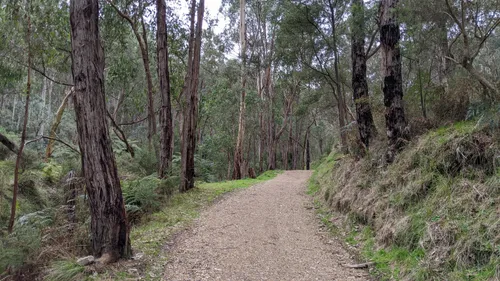 Beste wandelingen en routes in Warrandyte-Kinglake Nature Conservation ...