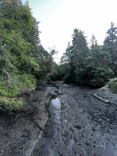 10 Best Trails and Hikes in Bainbridge Island | AllTrails