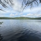 Gates Pond, Massachusetts - 1,097 Reviews, Map | AllTrails