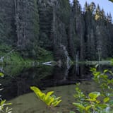 June Lake Trail, Washington - 835 Reviews, Map | AllTrails