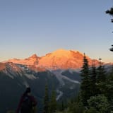 Silver Forest Trail, Washington - 392 Reviews, Map | AllTrails