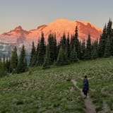 Silver Forest Trail, Washington - 392 Reviews, Map | AllTrails