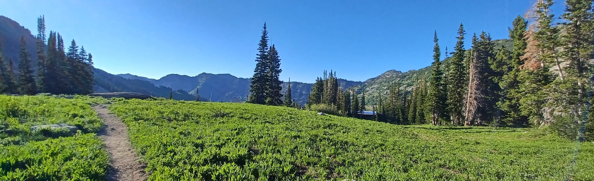 Sugarloaf - Mount Baldy Loop: 4.954 fotos - Utah | AllTrails