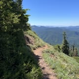 Cone Peak Trail, Oregon - 636 Reviews, Map | AllTrails