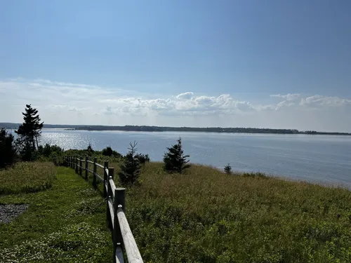 2023 Best Wildlife Trails in Melmerby Beach | AllTrails 2023 Best Wildlife Trails in Melmerby Beach | AllTrails