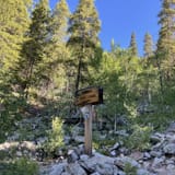 Hope Pass via Sheep Gulch Trail, Colorado - 149 Reviews, Map | AllTrails