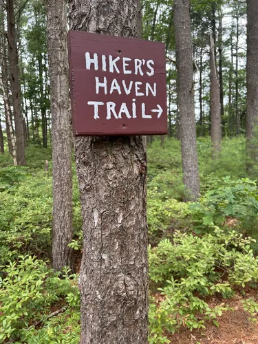2023 Best Easy Trails in Shawme-Crowell State Forest | AllTrails
