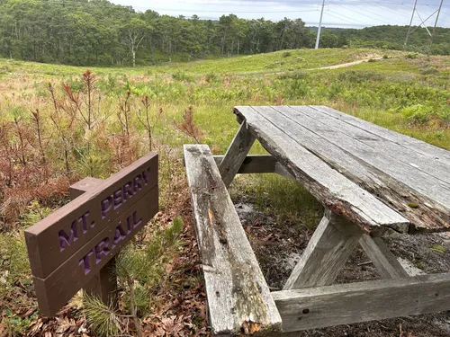 Shawme-Crowell State Forest: de beste routes om te wandelen | AllTrails