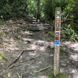 Cat Gap Loop Trail, North Carolina - 690 Reviews, Map | AllTrails