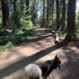 UC Davis Arboretum Trail, California - 1,120 Reviews, Map | AllTrails