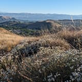 Autumn Ridge Trail, California - 397 Reviews, Map | AllTrails