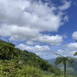 Pico Rodadero Trail: 137 fotos - South Region, Puerto Rico | AllTrails