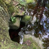 Douglas Forest Wallis Pond Loop Trail, Massachusetts - 929 Reviews, Map ...