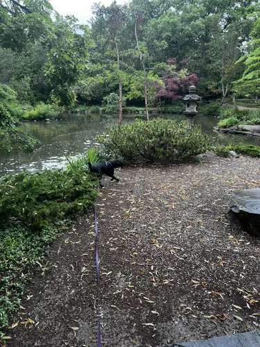 Best Hikes and Trails in Cranbrook Forest | AllTrails