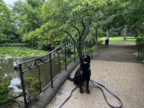 Best Hikes and Trails in Cranbrook Forest | AllTrails