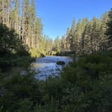 West Metolius River Trail, Oregon - 583 Reviews, Map | AllTrails