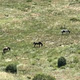 North Table Mountain via Rim Rock and North Table Mountain Loop ...