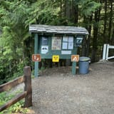 Mount Kit Carson Trail, Washington - 867 Reviews, Map | AllTrails