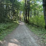 Forest Park Ridge Trail, Oregon - 1,112 Reviews, Map | AllTrails