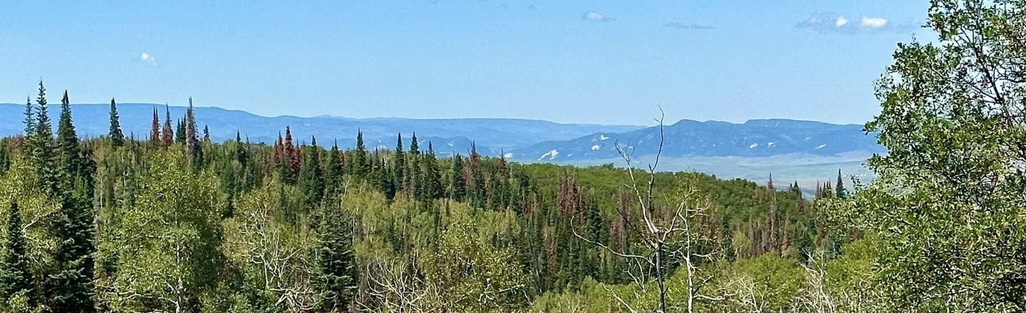 Beall Trail, Colorado - 26 Reviews, Map | AllTrails