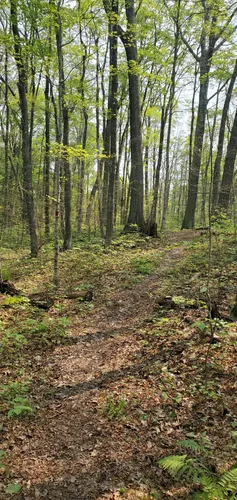 Best Hikes and Trails in Madeline Island Wilderness Preserve | AllTrails