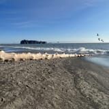 Rialto Beach Trail, Washington - 349 Reviews, Map | AllTrails