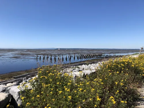 Best Hikes and Trails in Boundary Bay Regional Park | AllTrails
