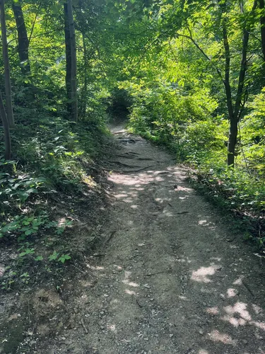 2023 Best Trails, Walks, and Paths in Wolf Lake | AllTrails