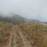 Crespi Trail, California - 224 Reviews, Map | AllTrails