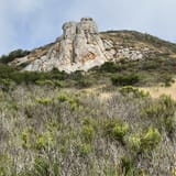 Crespi Trail, California - 224 Reviews, Map | AllTrails