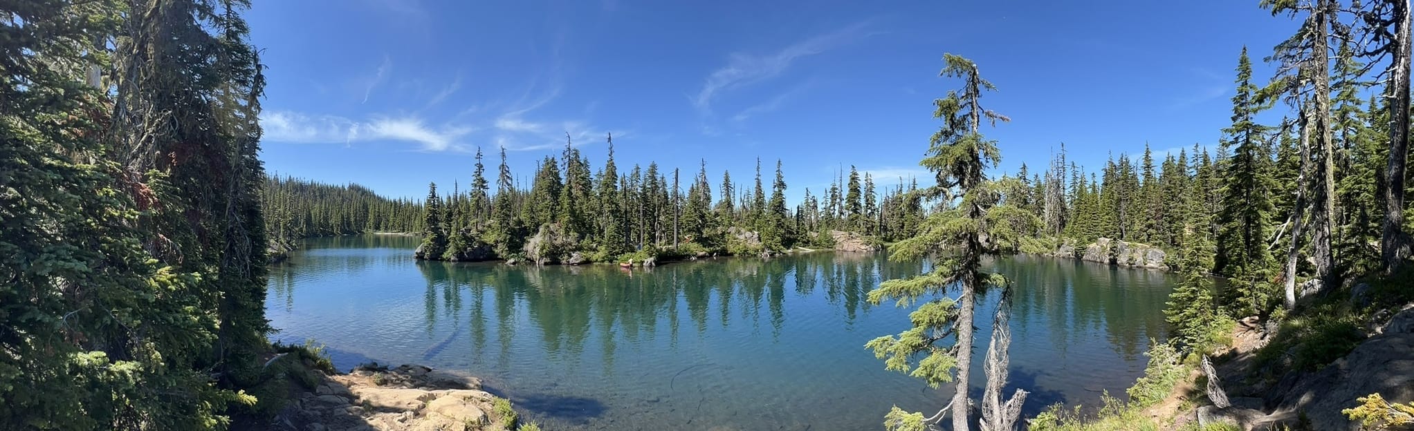Scott to Tenas Lakes via Benson Lake Trail: 202 fotos - Oregón | AllTrails
