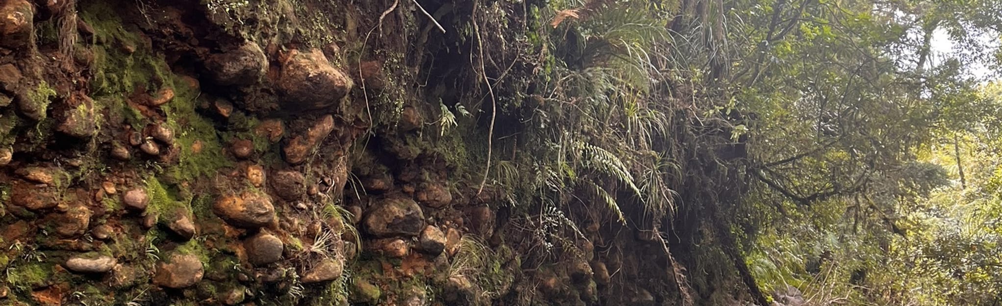 Pahautea Hut via Kaniwhaniwha Caves and Tahuanui Track: 169 Fotos ...