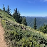 Iron Mountain Trail, Oregon - 526 Reviews, Map | AllTrails