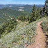 Iron Mountain Trail, Oregon - 526 Reviews, Map | AllTrails